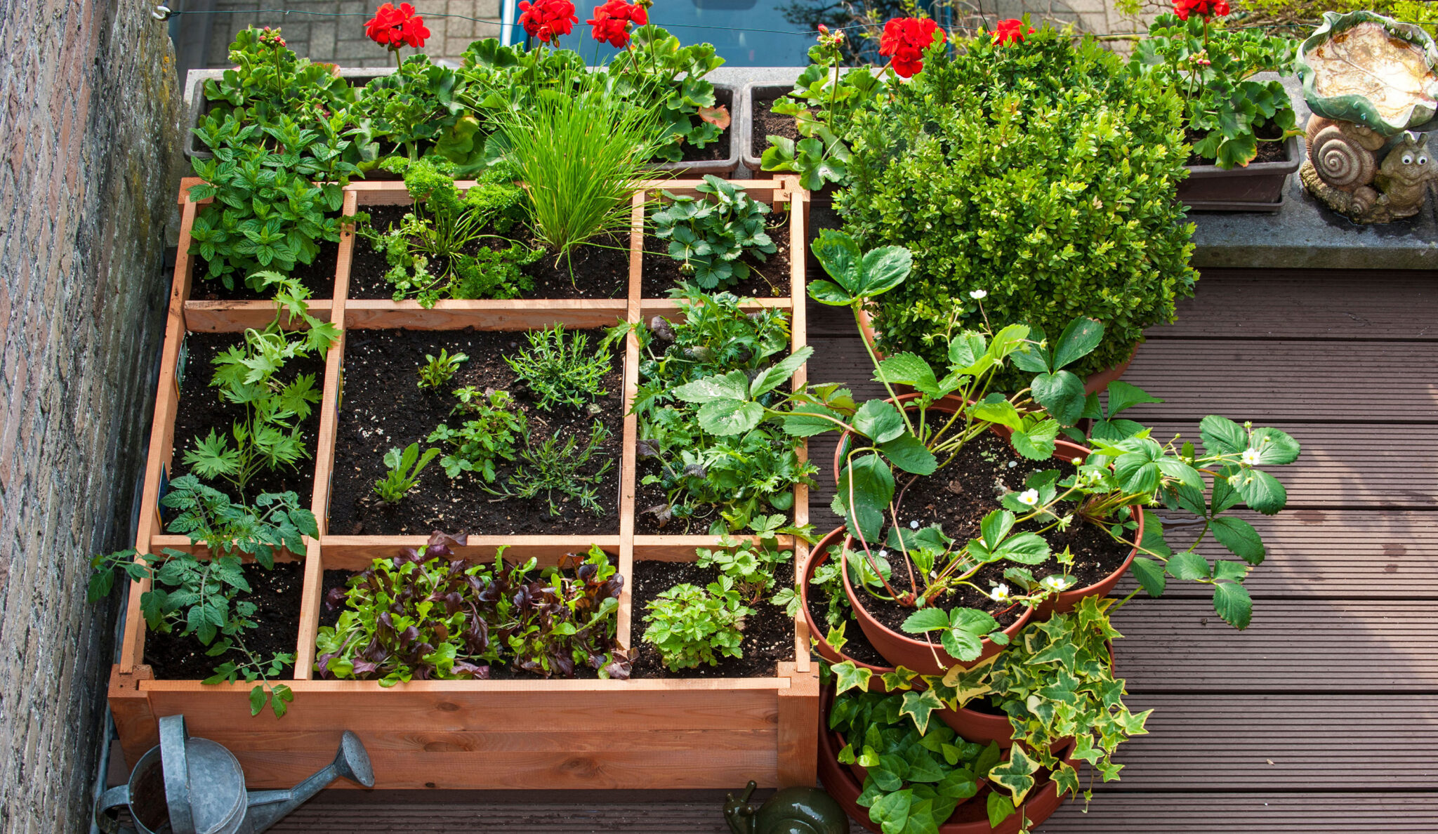 Container Gardening For Small Patios And Balconies - home water alkali